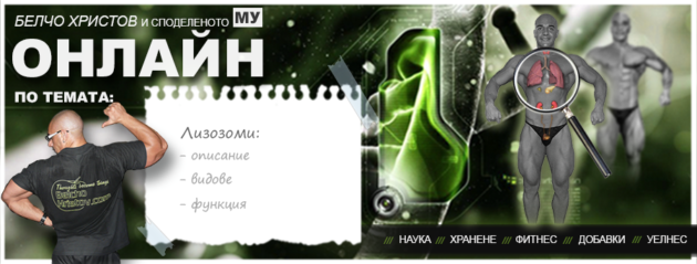 Лизозоми | Цитология – мембранни органели - BelchoHristov.Com